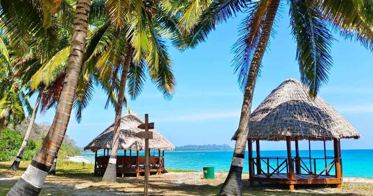 A Day Trip to Baratang Island: What to See and Do