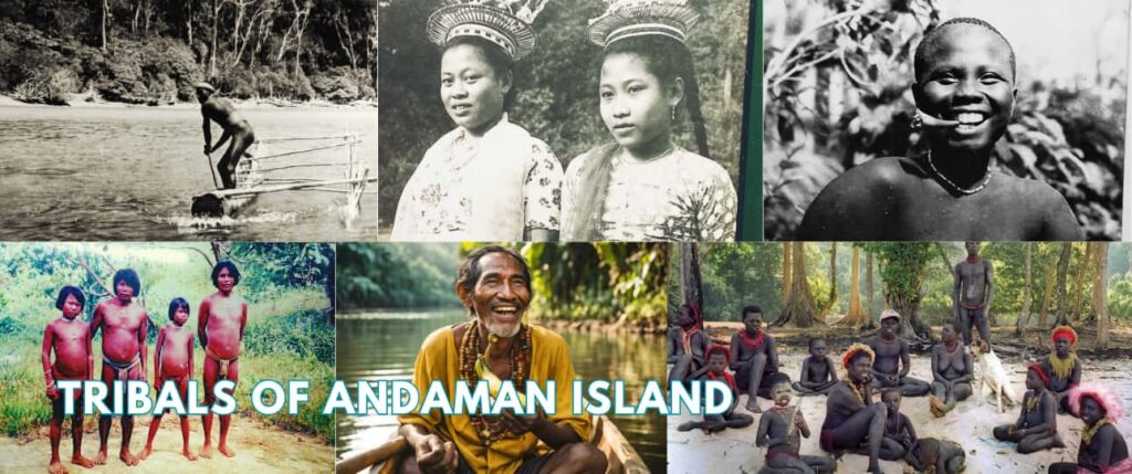 Blue Andaman Tour Contact